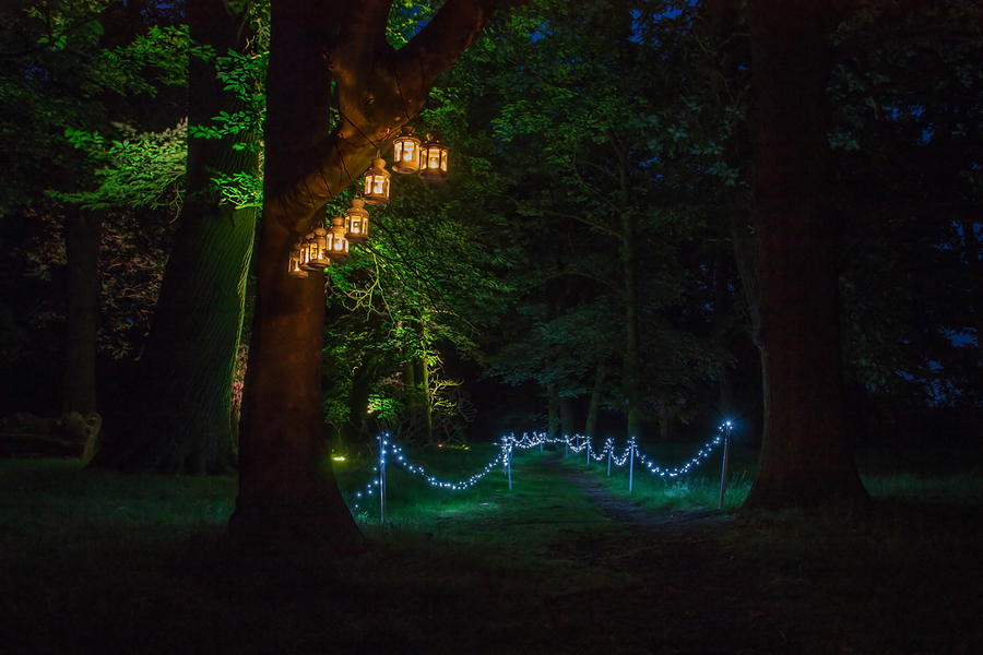 Magic light night trail in the old park | Urban Gourmet